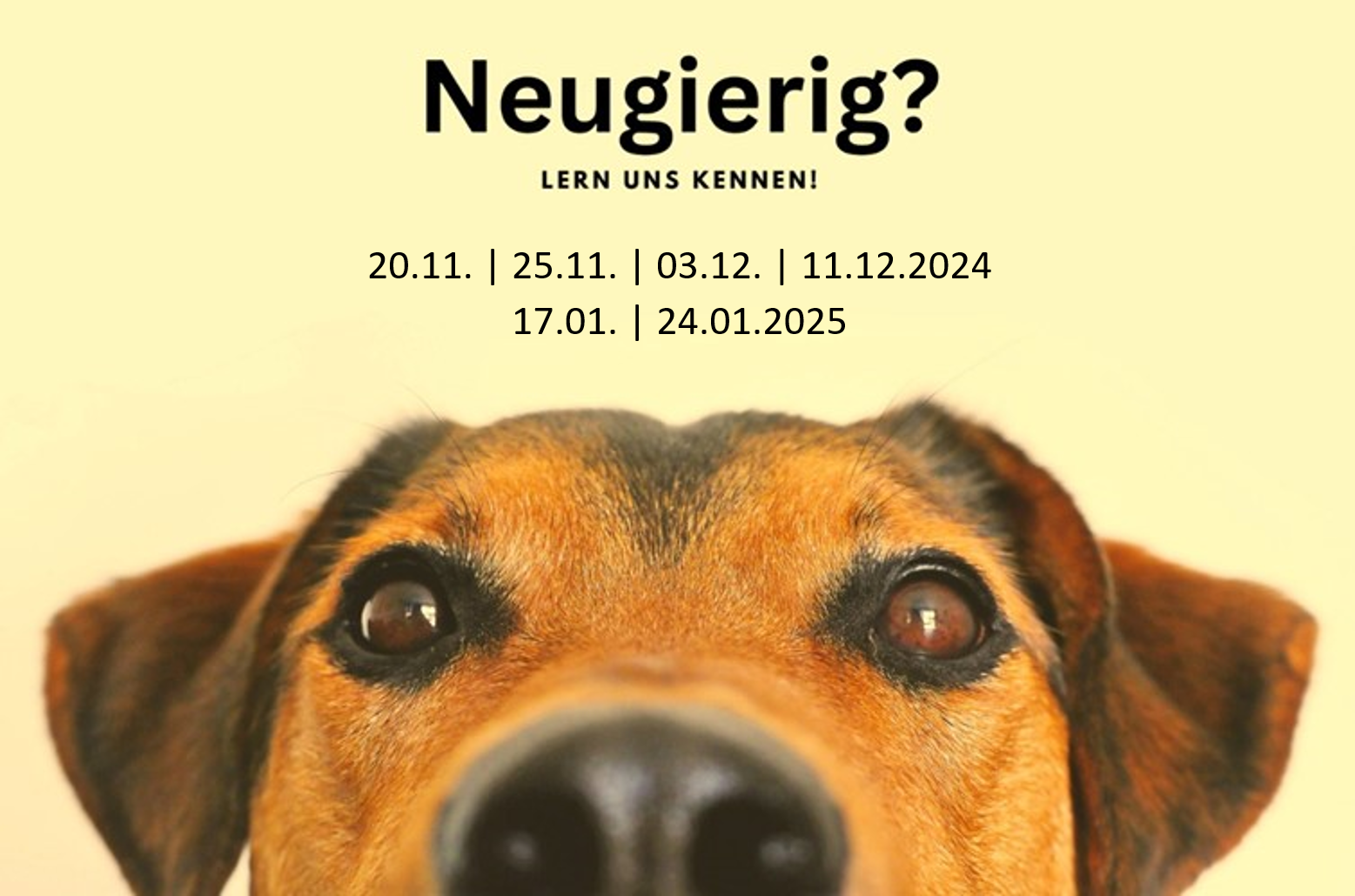 HAK | HAS Perg - Gestalte jetzt deine Zukunft!